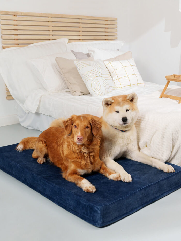 Hundebett | Petformed®