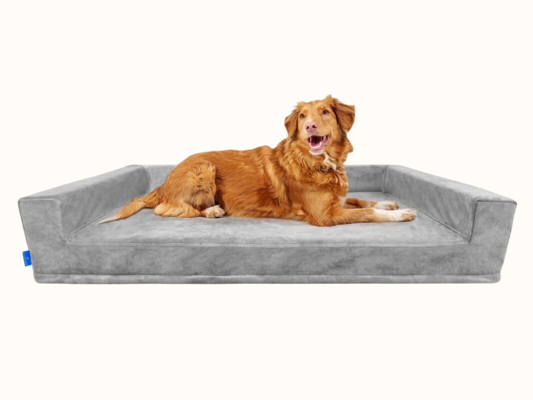 Cama ortopédica para perros | Petformed®