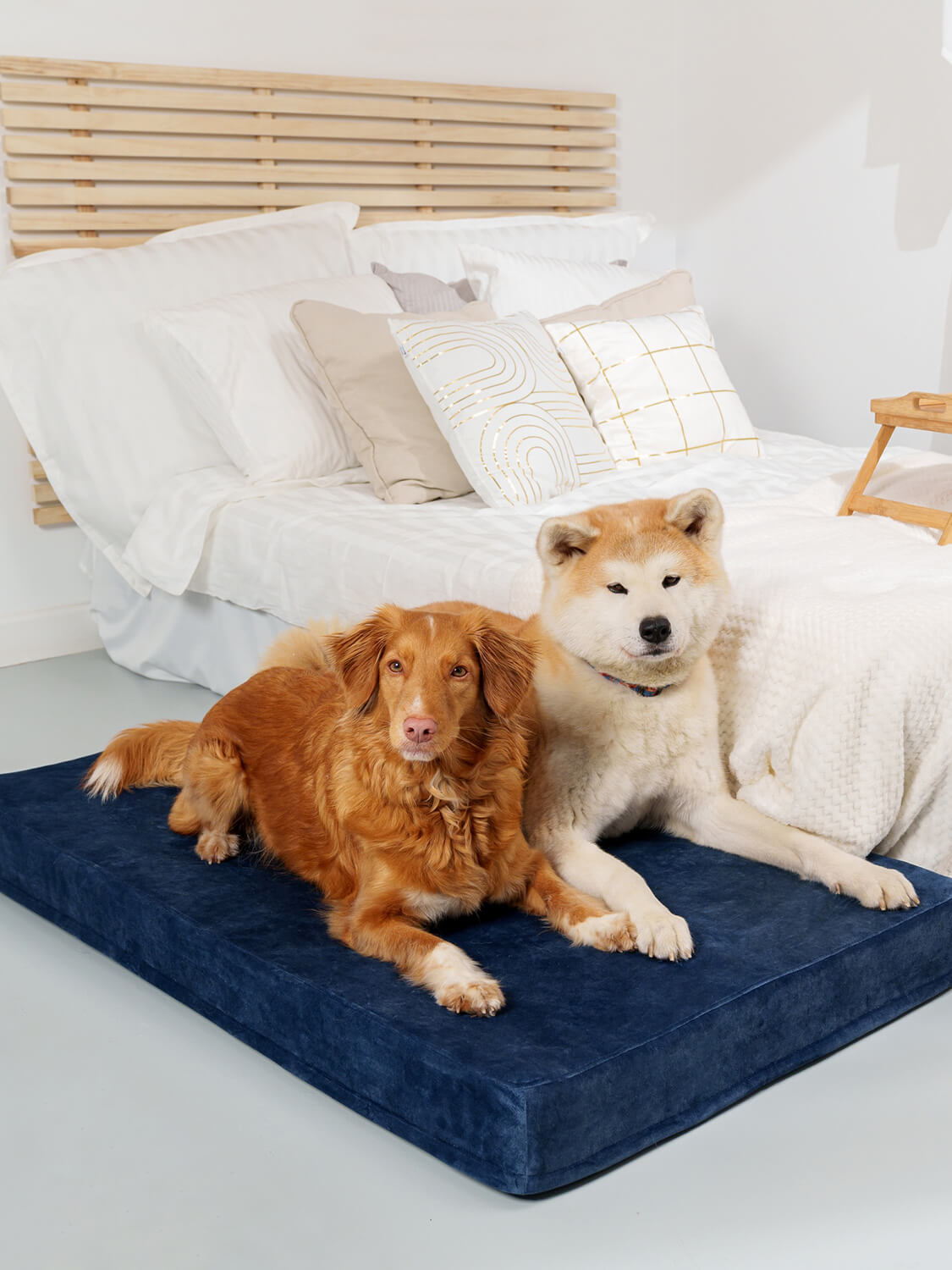 Petformed® | Oficjalny sklep internetowy Petformed®