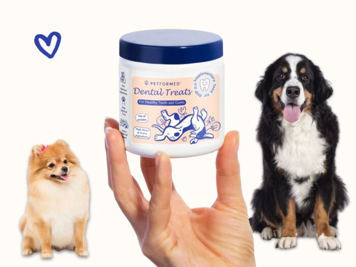 Psu śmierdzi z pyska – przyczyny I sprawdzone rozwiązania - Petformed PL