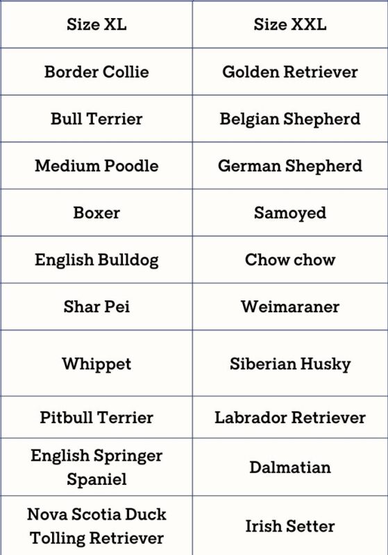 Petformed® Light Cover - Petformed US